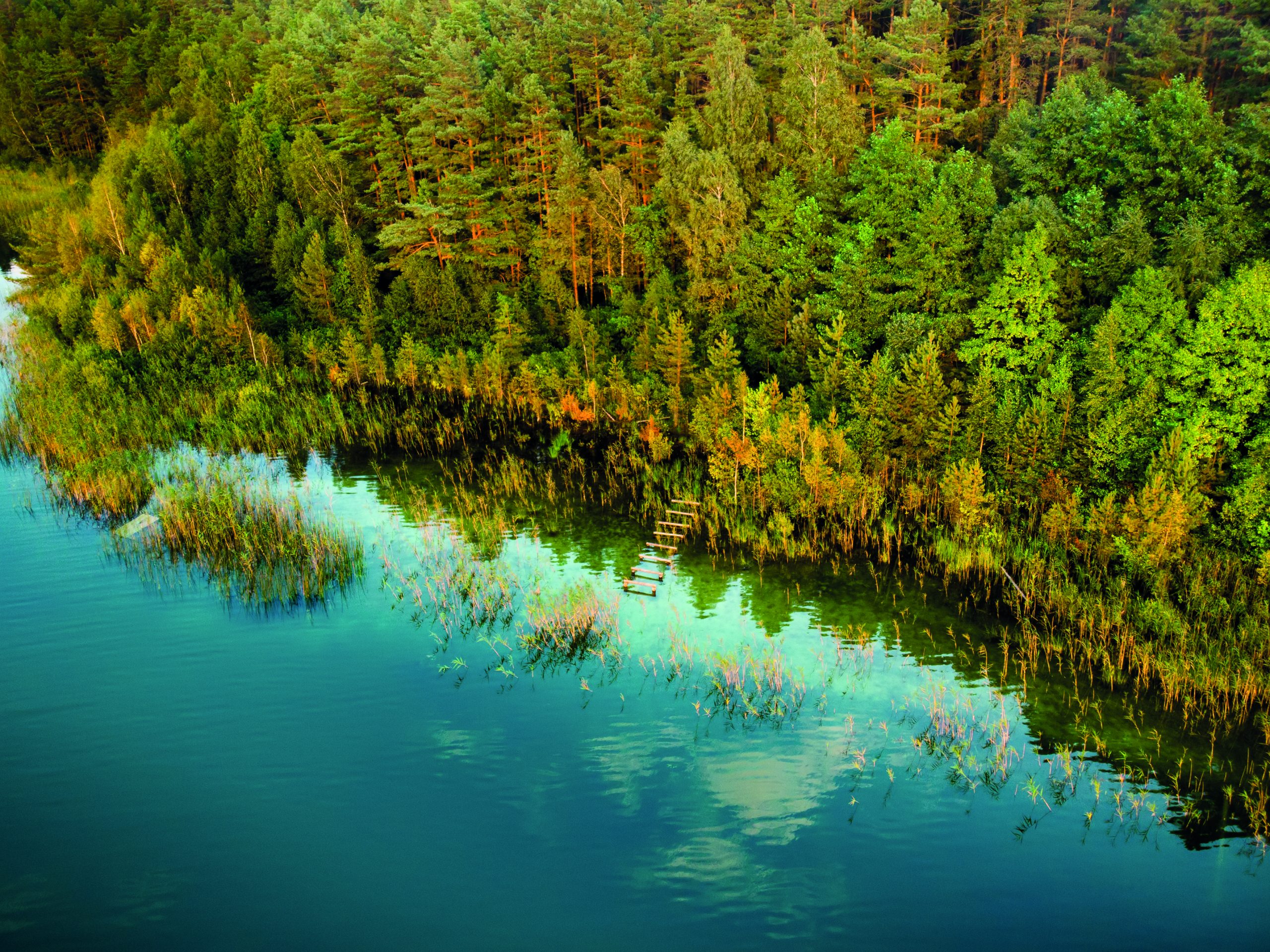 Environmental Protection - Warsaw University of Life Sciences
