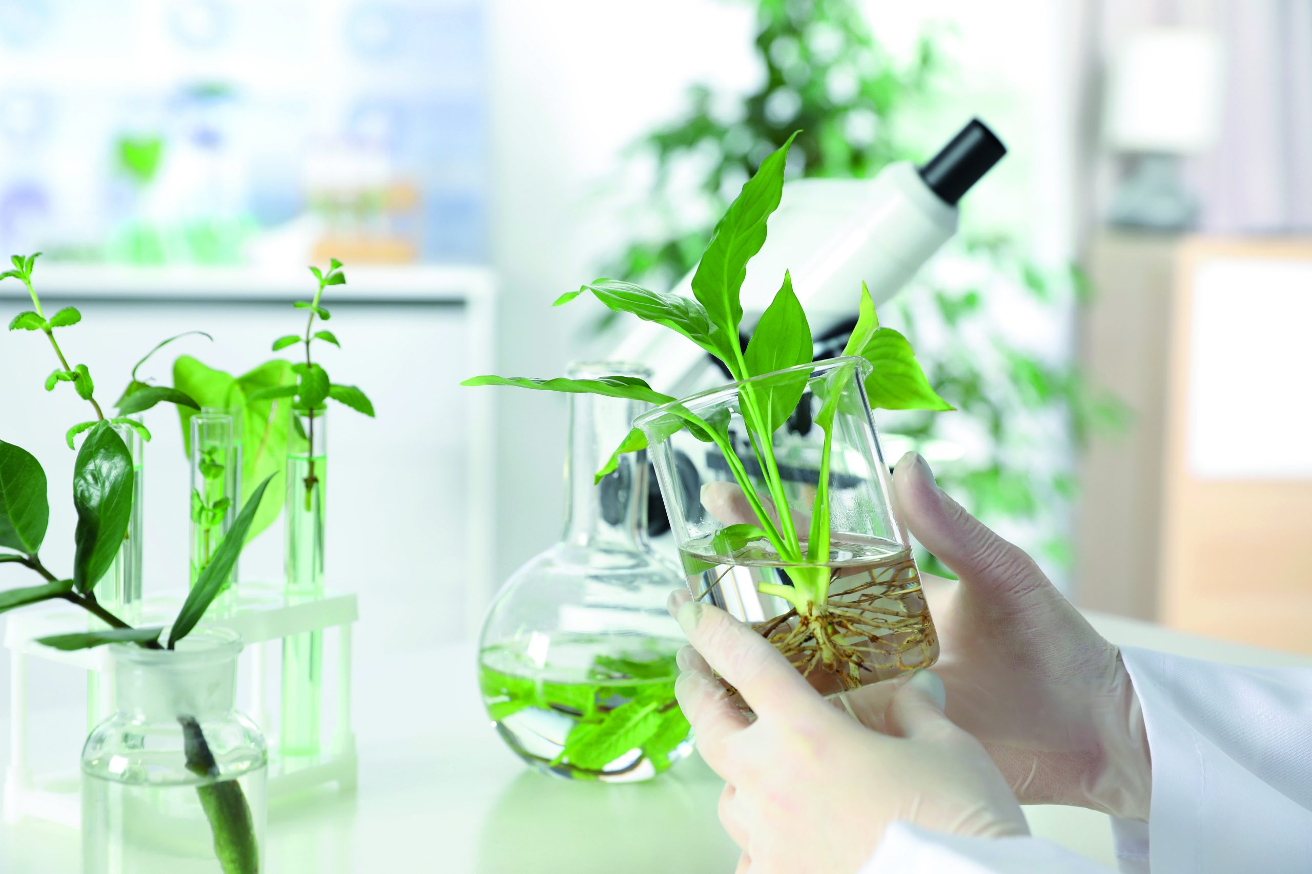 Biology - Warsaw University of Life Sciences