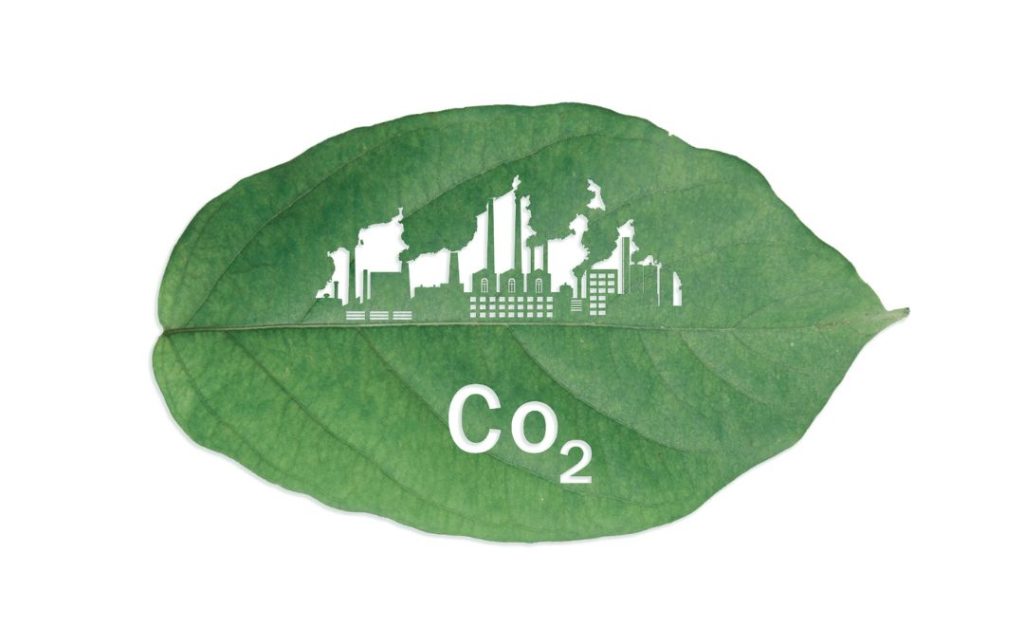 Fill out the survey and take action for sustainable development sggw ...